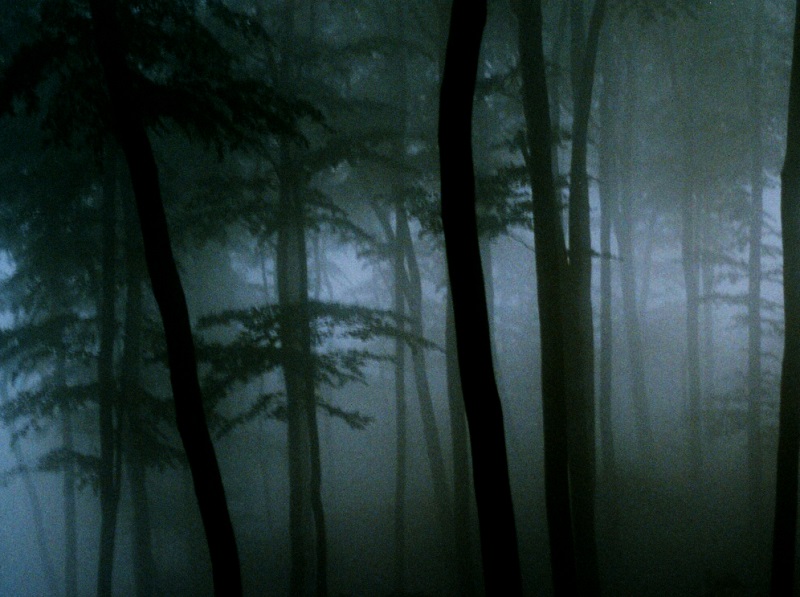 Ten Urban Legends That Deserve A Proper Movie Adaptation | Funk's House ...